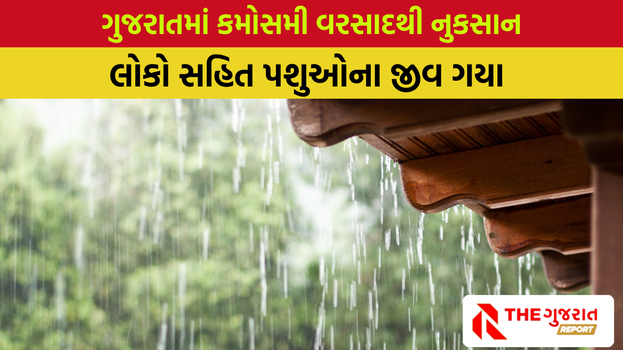 Gujarat: વાવાઝોડા સાથે પડેલા વરસાદથી 8 લોકોના મોત, મહિસાગરમાં ફરી વરસાદ ...